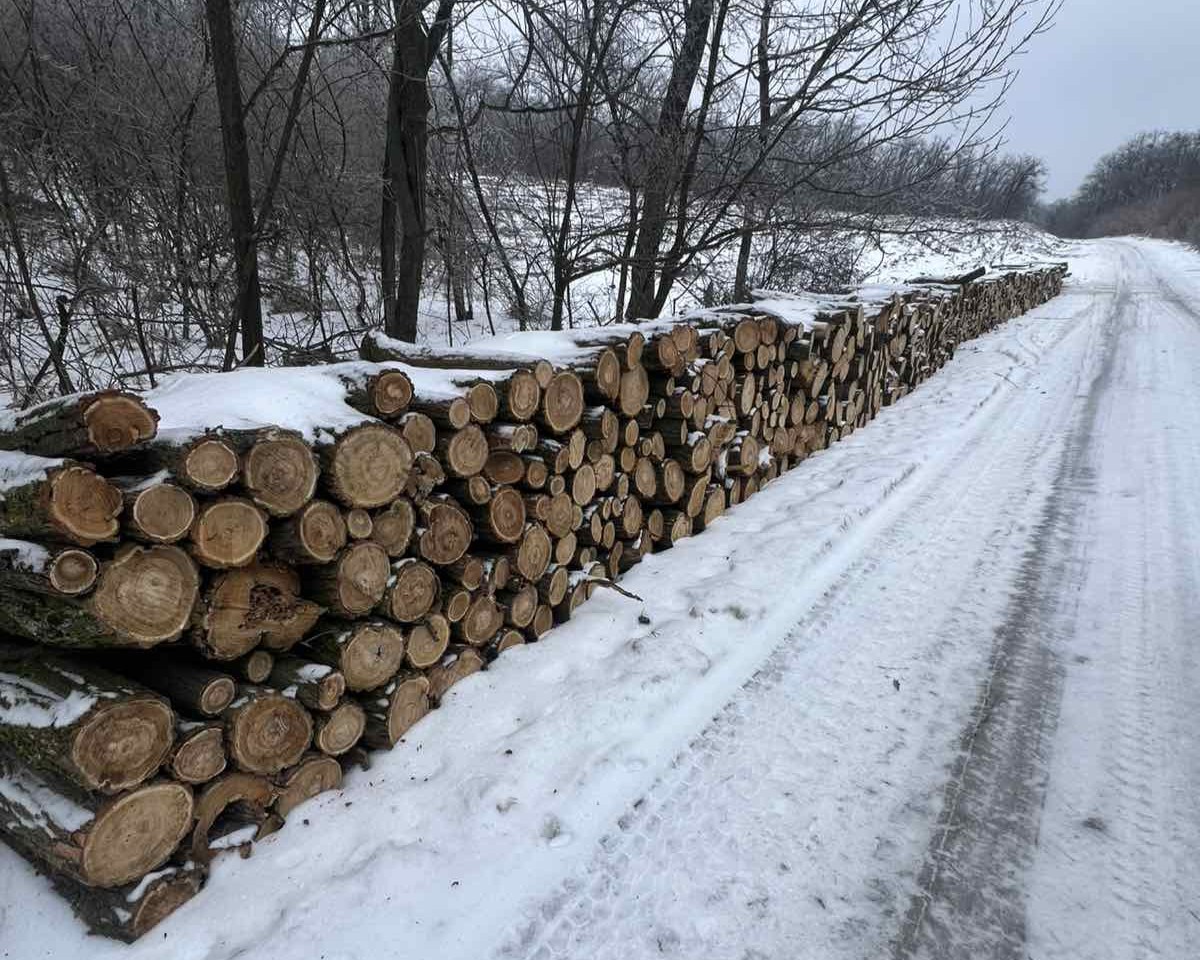 Lemn de foc pentru iarna 2026: stocuri suficiente și prețuri ...